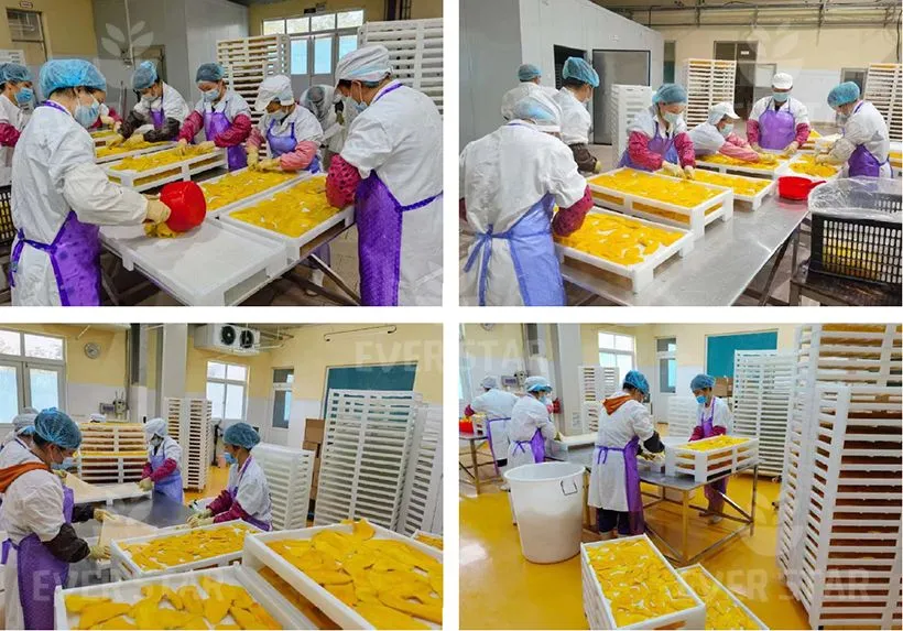 Dried Mango slice,dehydrated mangoes