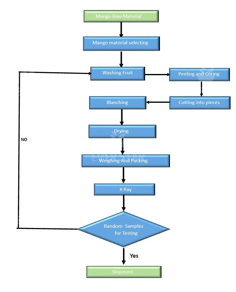 Dried Mango slice,dehydrated mangoes