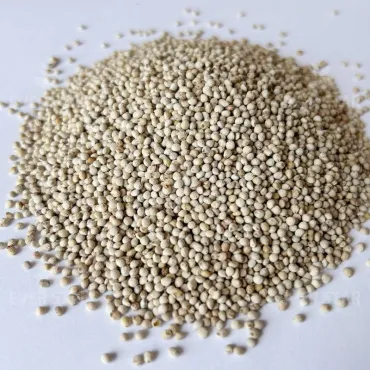perilla seeds,perilla frutescens seeds,shiso seeds