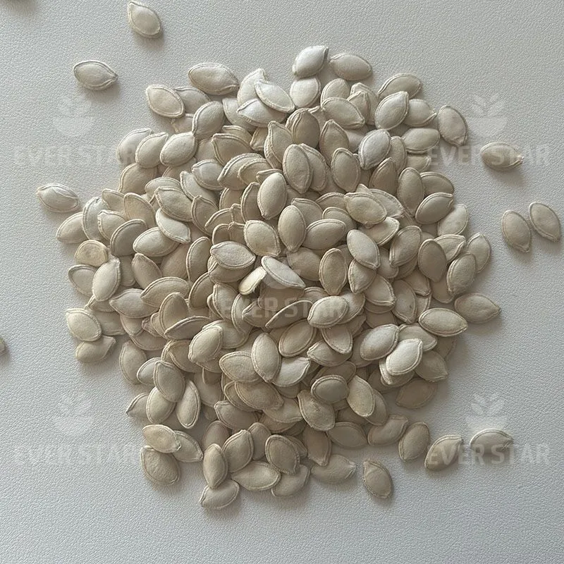 Shine Skin Pumpkin Seeds