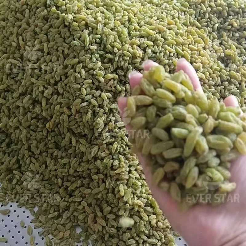 green raisins,dried grape,Manaizi