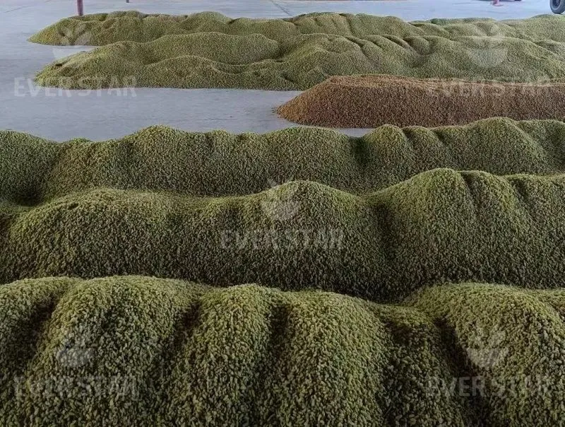 green raisins,dried grape,Manaizi