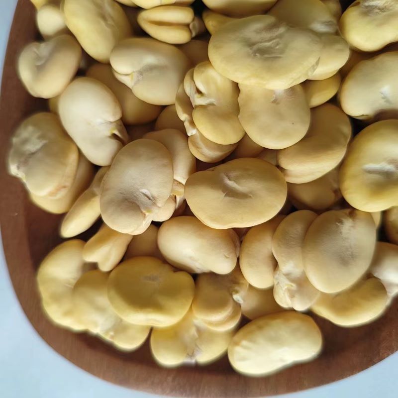 peeled broad beans skinned broad beans