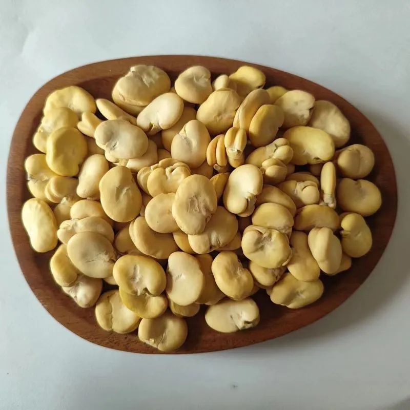 peeled broad beans skinned broad beans