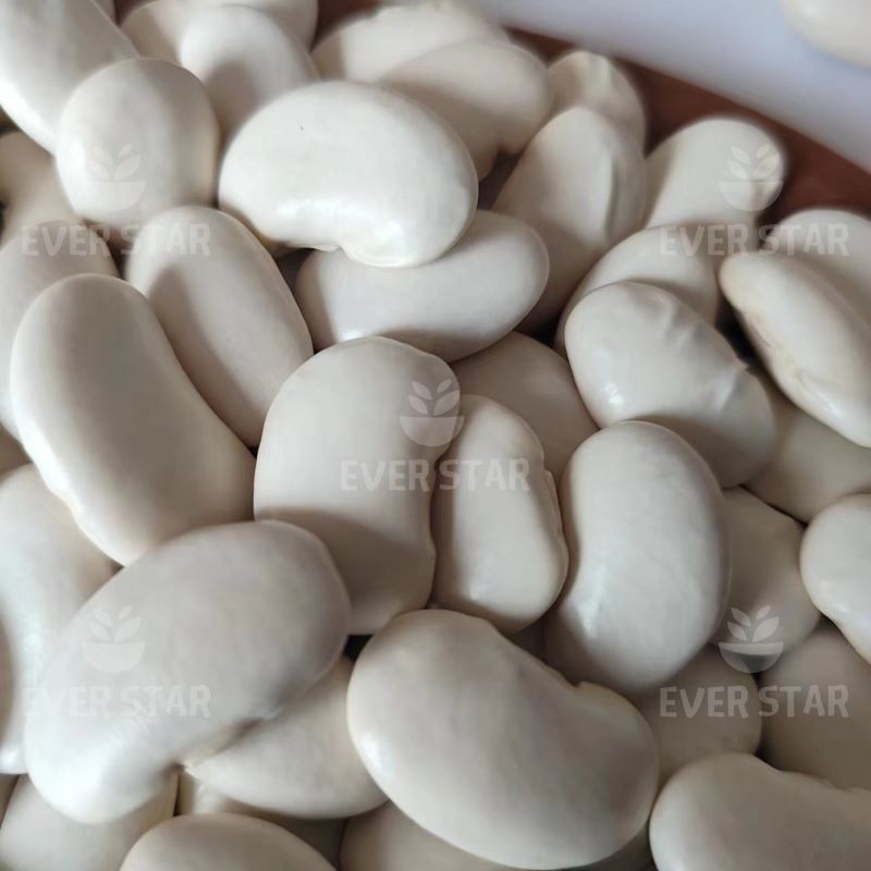 Large white kidney beans Cannellini beans