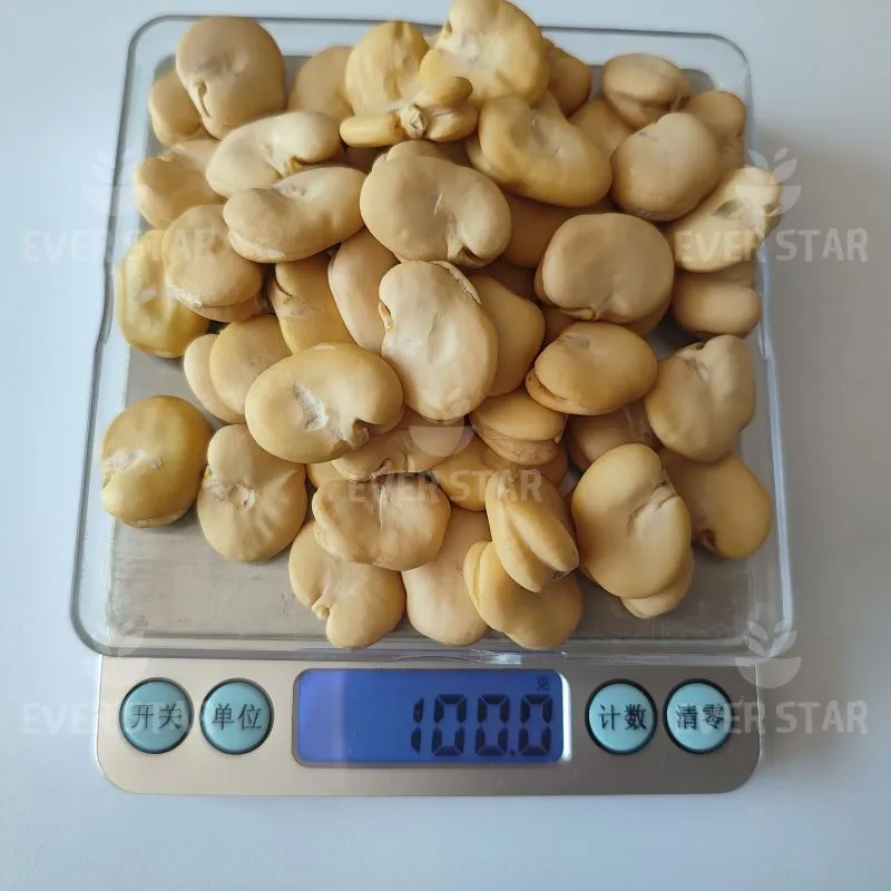 peeled broad beans skinned broad beans