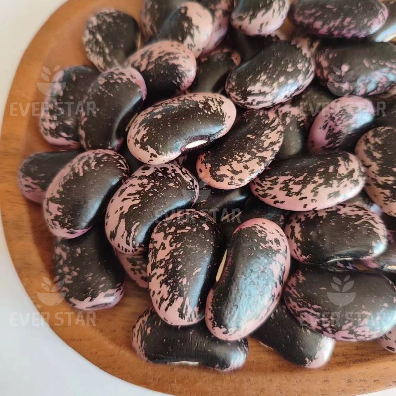 Large Black Kidney Beans,purple kidney beans