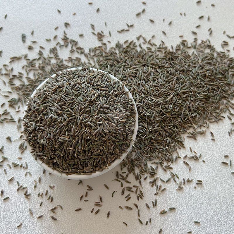 cumin seeds,cumin