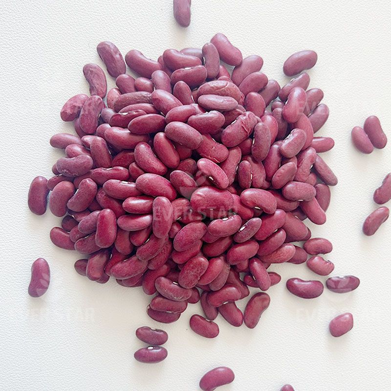 Get Nutritious and Delicious Dark Red Kidney Beans | Buy Now and Save