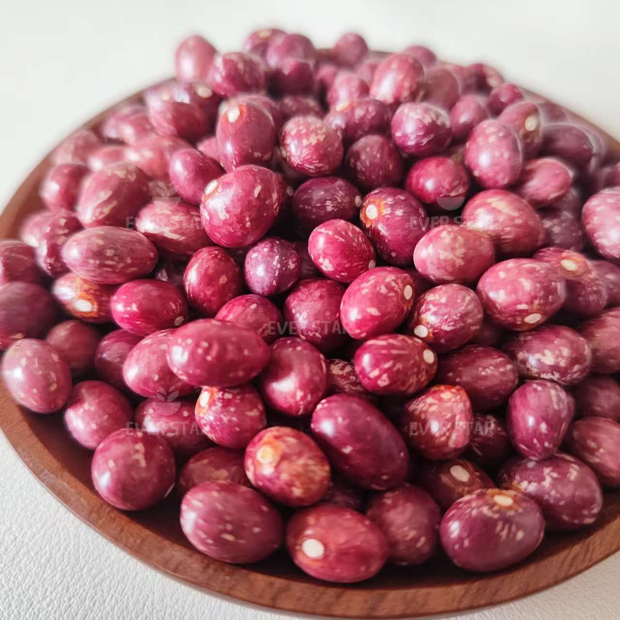 Red Speckled Kidney Beans