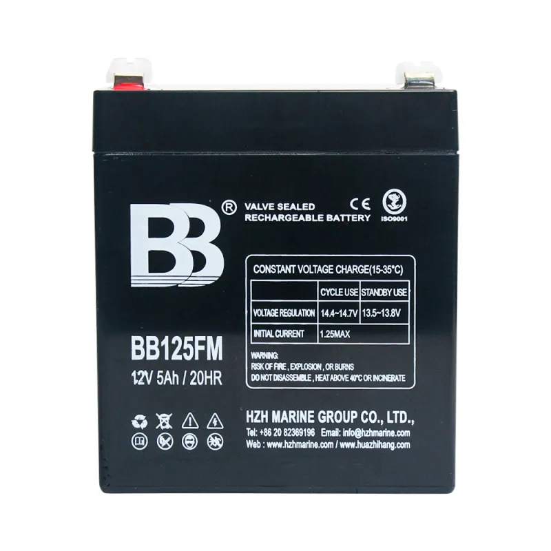 BB125FM 12V 5Ah Marine Deep Cycle Battery | HZH Marine
