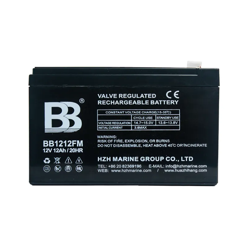 BB 1212FM 12V 12Ah Marine Deep Cycle Battery | HZH Marine