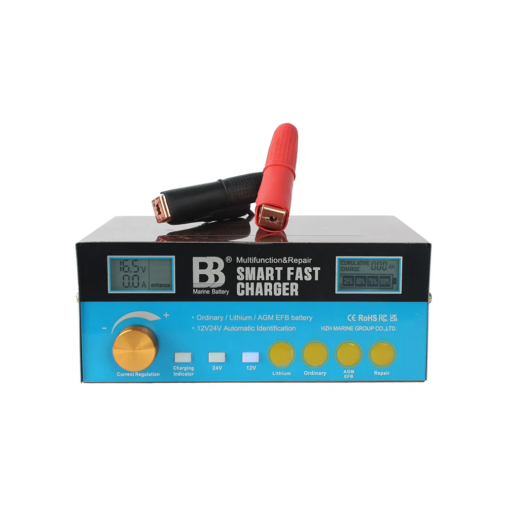BB MF-100 Smart Marine Battery Charger with Regulated Voltage for 12V ...