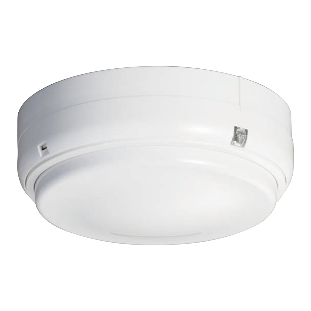 FDPJ Series Rate-of-Rise Heat Detector for Fire Safety Systems