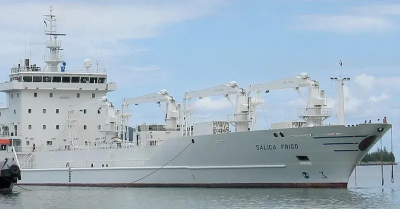 8 Types of Dry Cargo Ships Explained: Bulk, Ro-Ro, Reefer & More