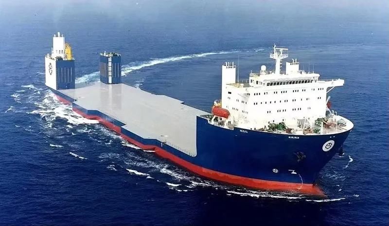 8 Types of Dry Cargo Ships Explained: Bulk, Ro-Ro, Reefer & More