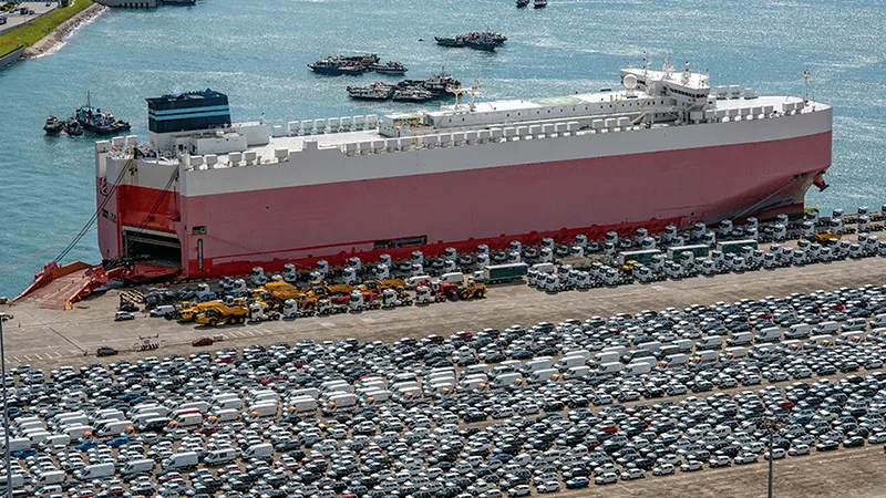8 Types of Dry Cargo Ships Explained: Bulk, Ro-Ro, Reefer & More