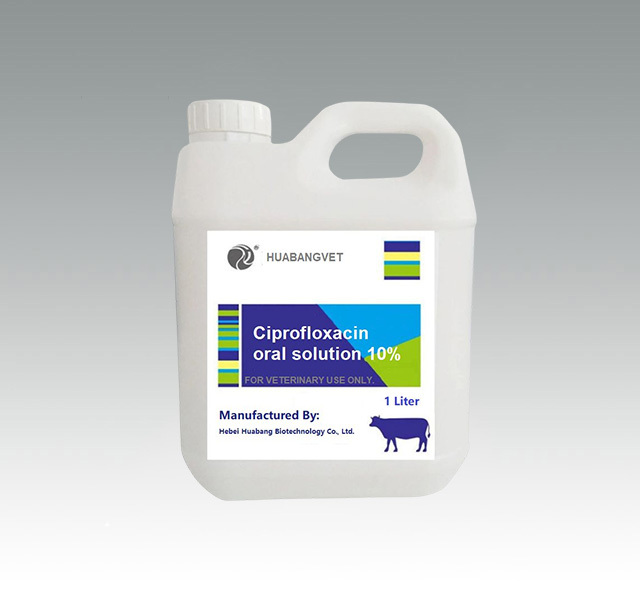 Ciprofloxacin oral solution 10%