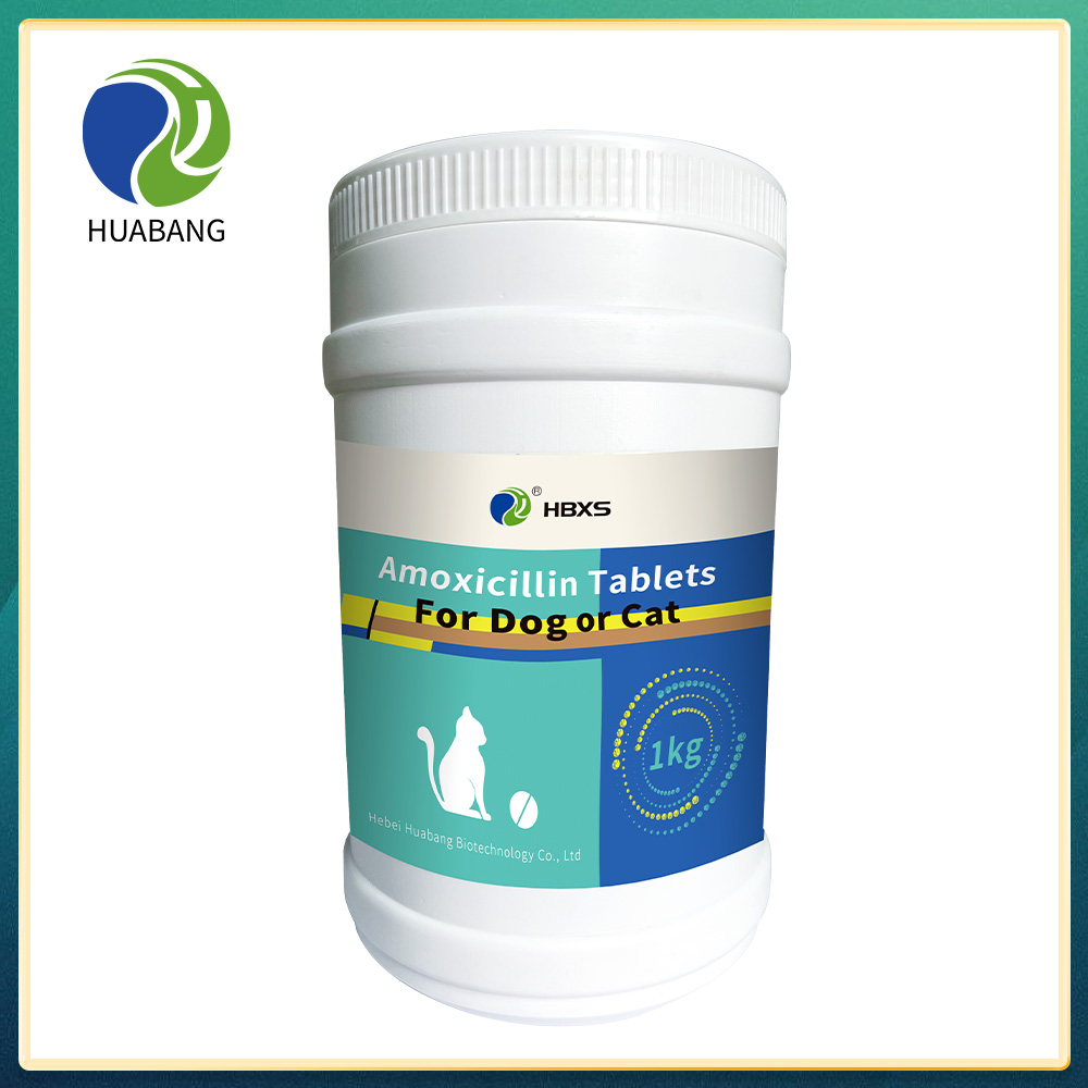 Amoxicillin Tablets For Dog or Cat