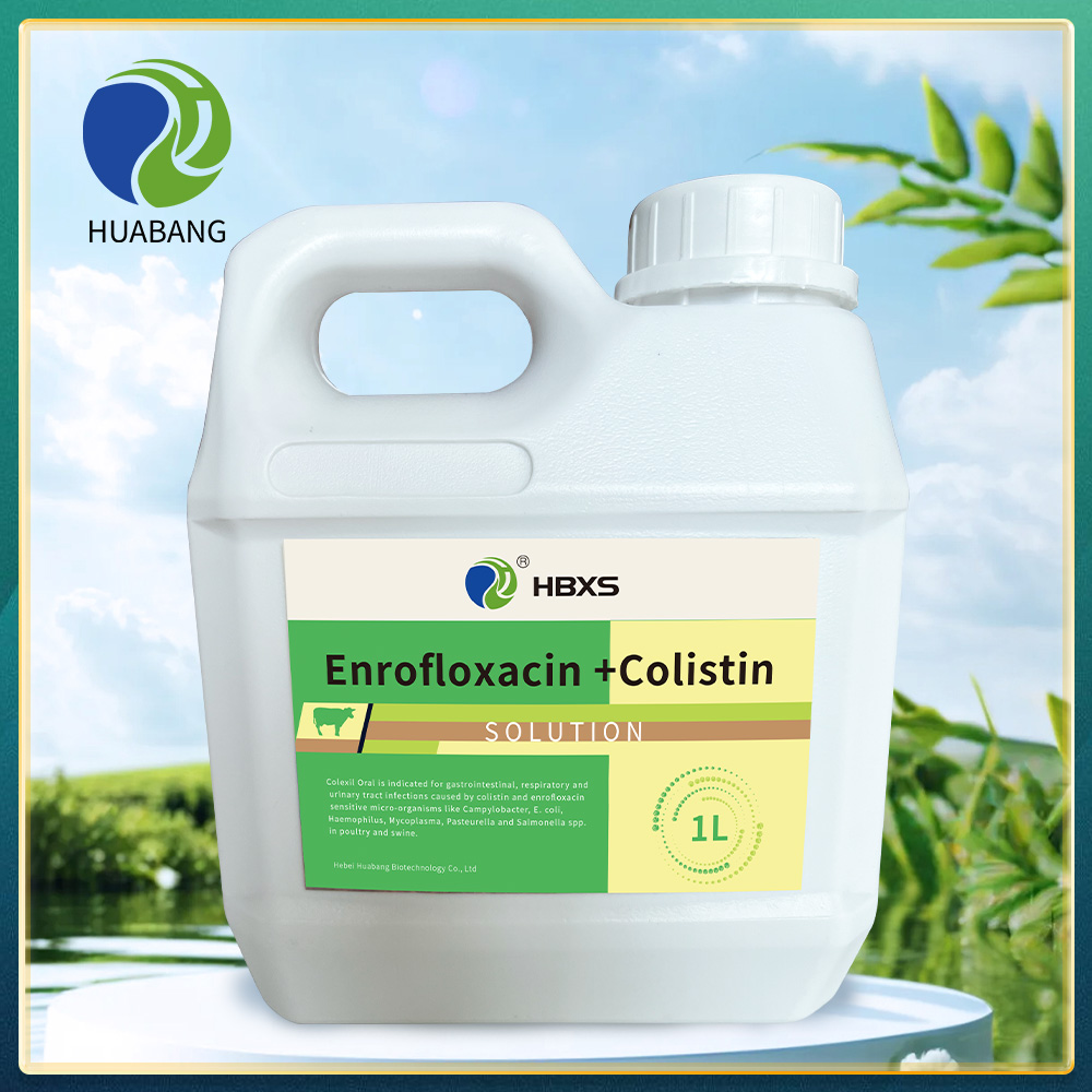 Colistin and Enrofloxacin Oral Solution