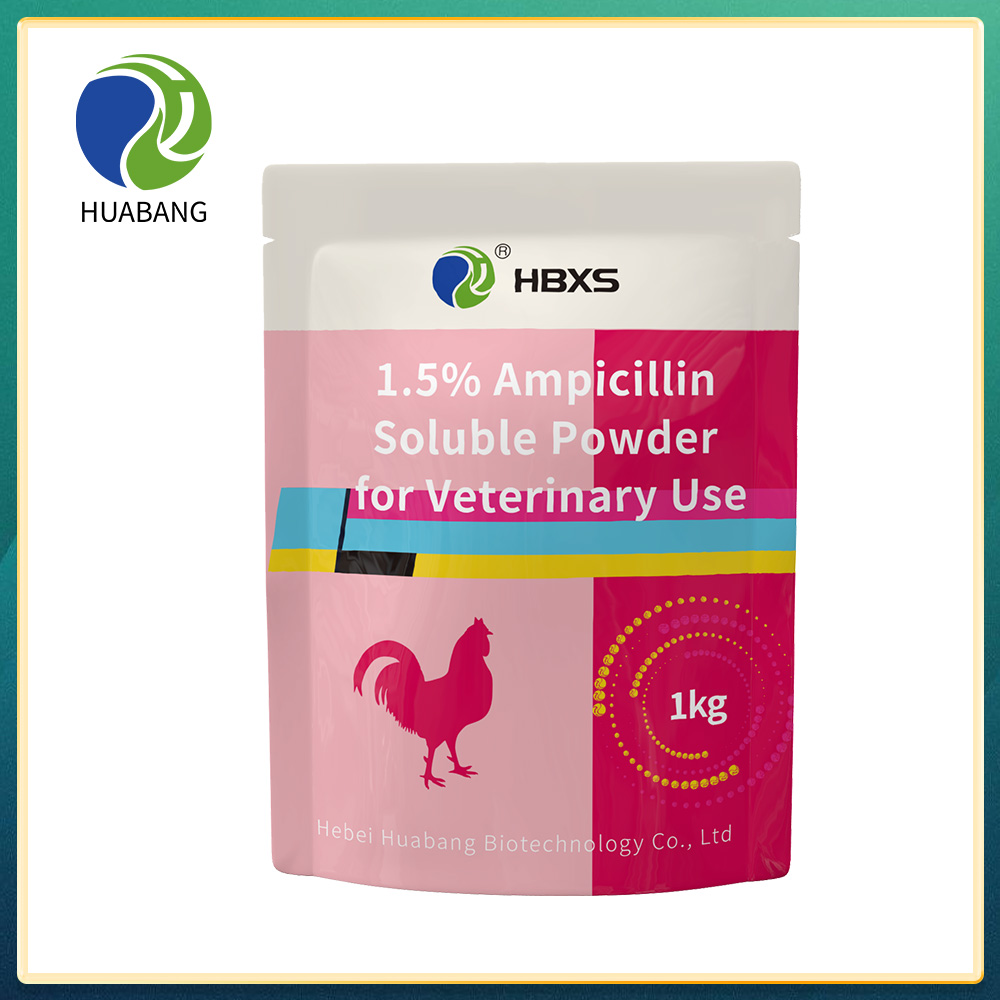 Ampicillin Soluble Powder