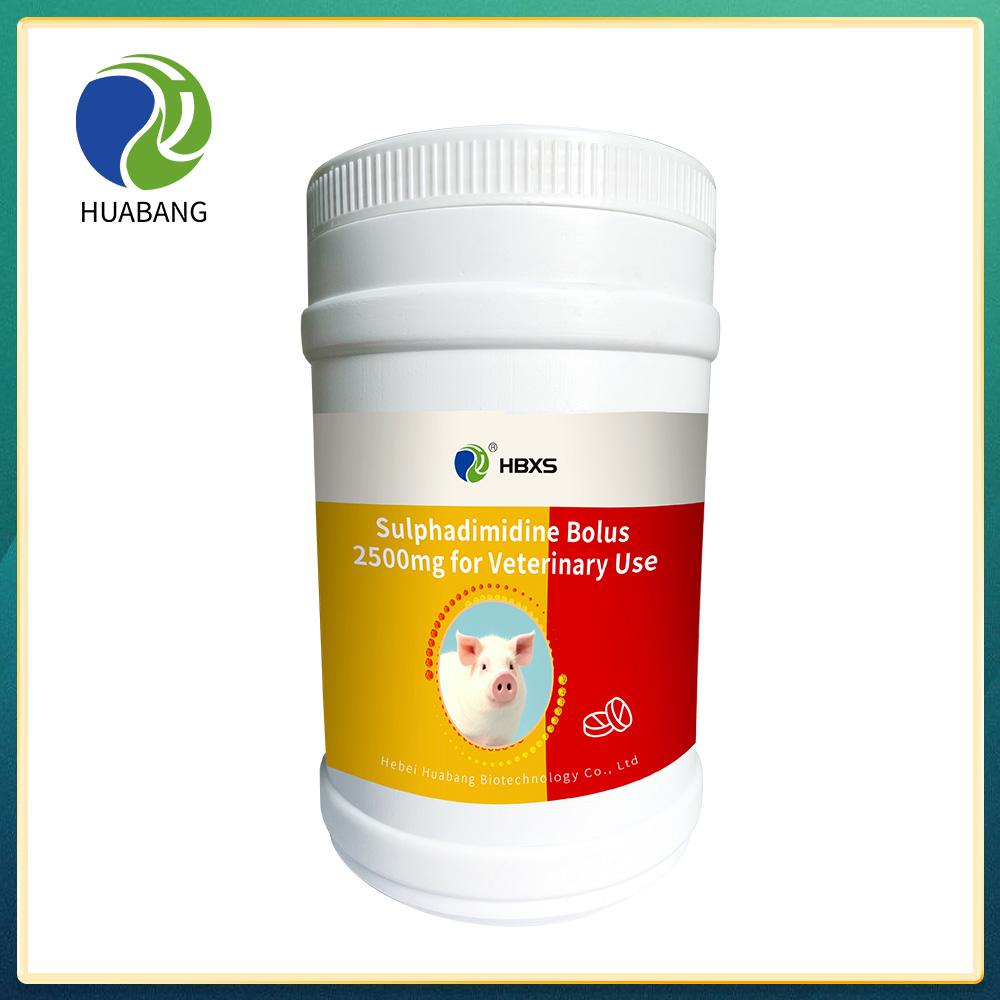 Sulphadimidine Bolus 2500mg for Veterinary Use