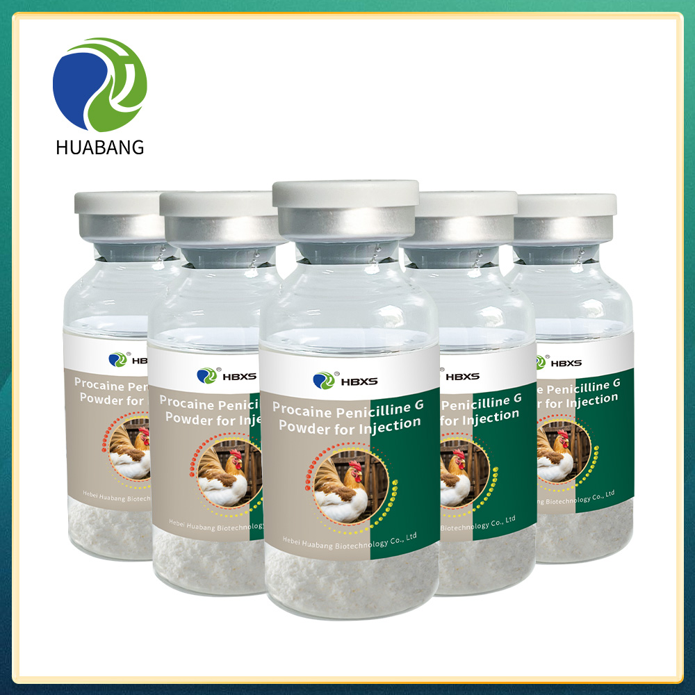 Veterinary Medicine Procaine Penicilline G Powder