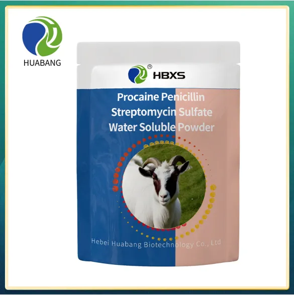 Procaine Penicillin