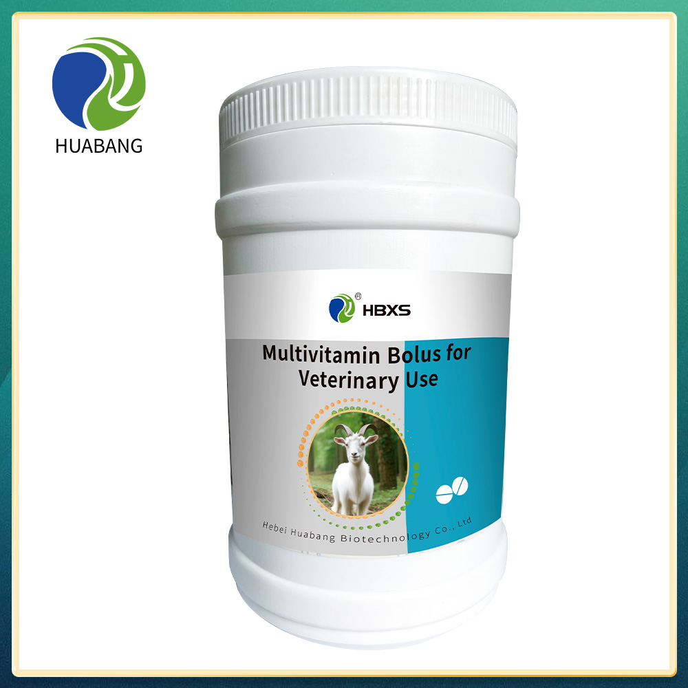 Multivitamin Bolus for Veterinary Use