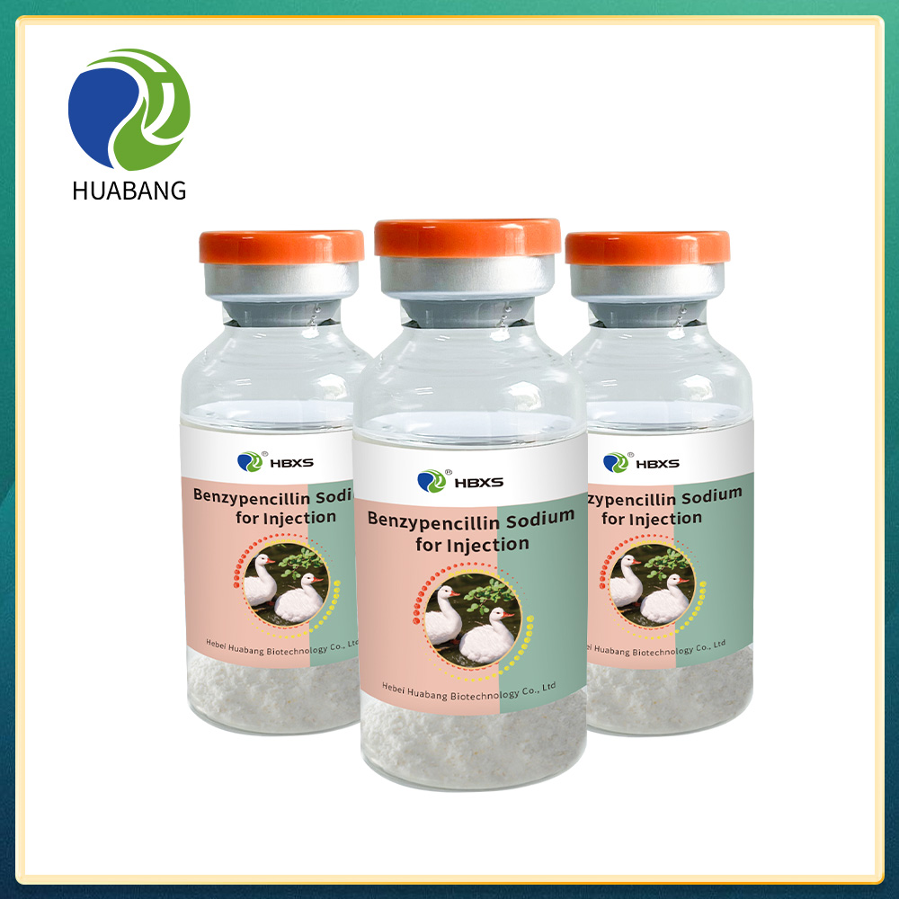 Benzypencillin Sodium for Injection