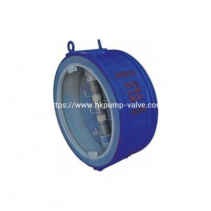Double Flap Swing Check Valve