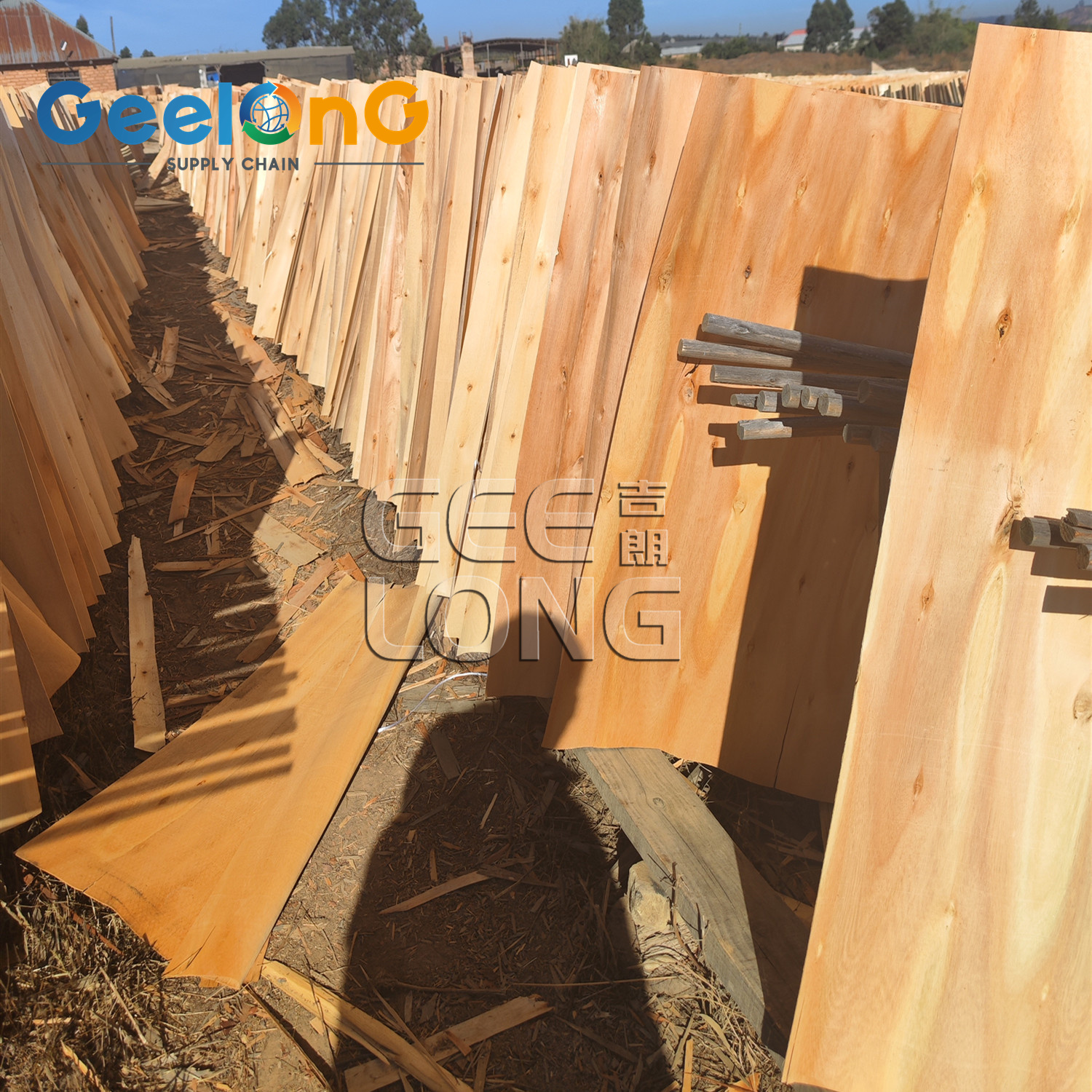 Eucalyptus Core Veneer 1.7mm 4*2ft Manufacturer from Kenya