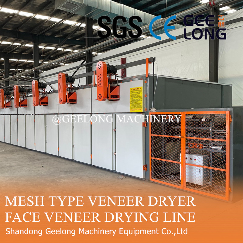 Mesh Wire Veneer Drying Line, China Veneer Dryer Manufacturer