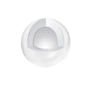 Advanced Endovascular Solutions for Vascular Health