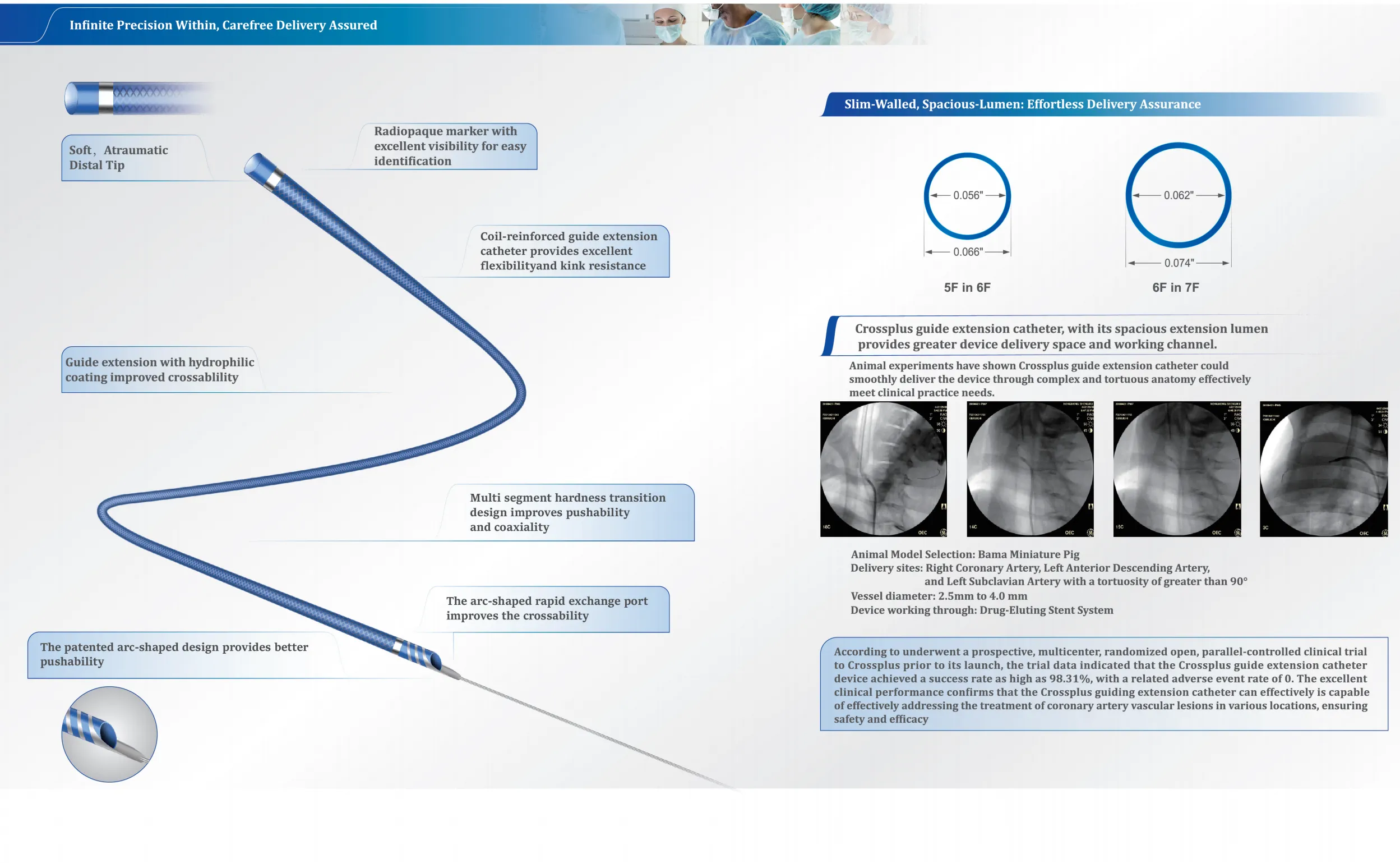 Guide Extension Catheter