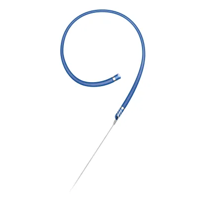 Guide Extension Catheter