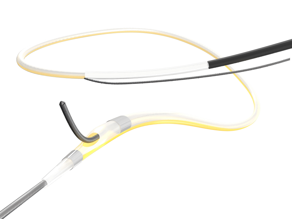 Dual lumen coronary microcatheter