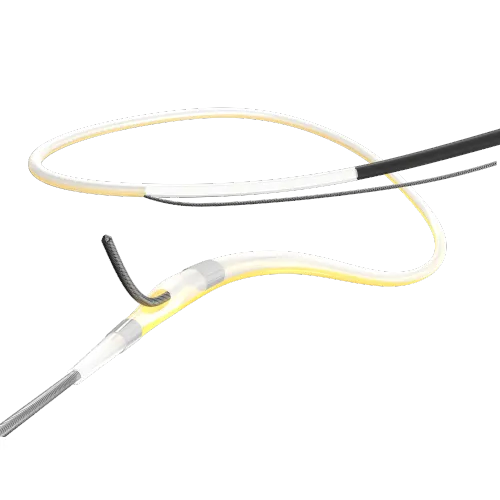 Dual lumen coronary microcatheter