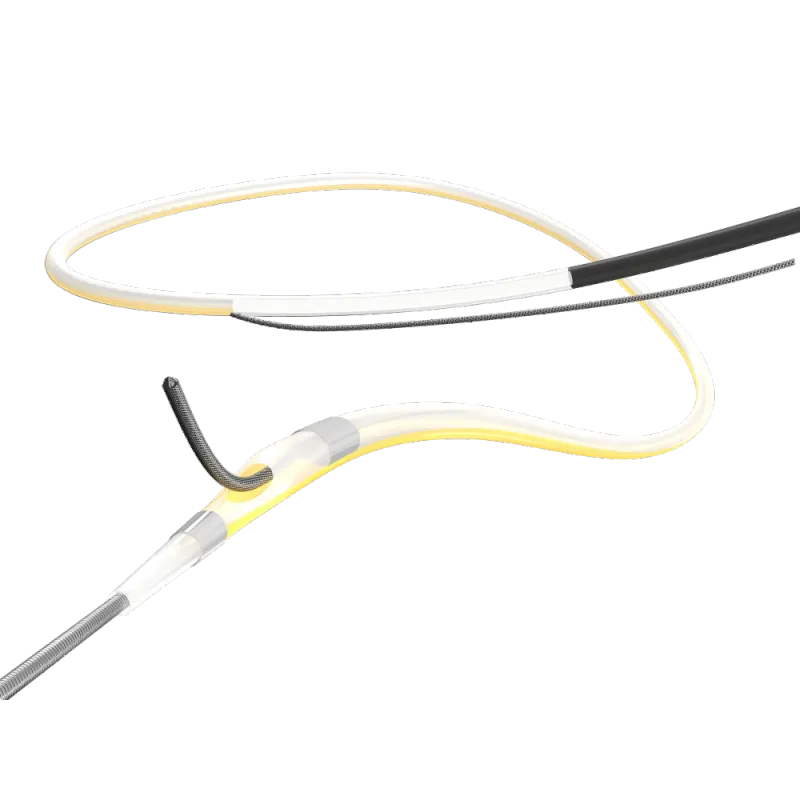 Dual lumen coronary microcatheter