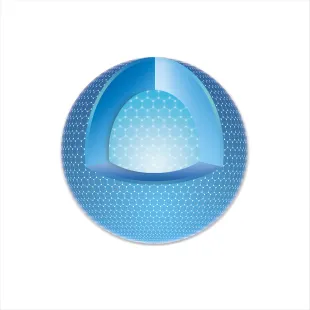 Advanced Endovascular Solutions for Vascular Health