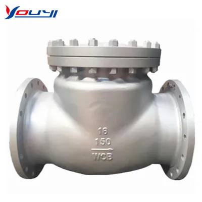 ANSI Check Valve