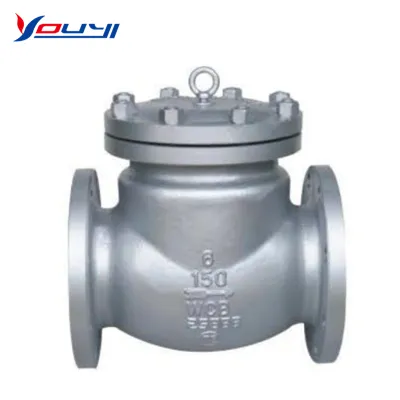 ANSI Check Valve