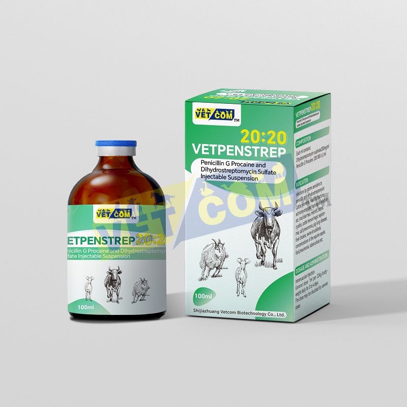 Penicillin G Procaine and Dihydrostreptomycin Sulfate Injectable Suspension