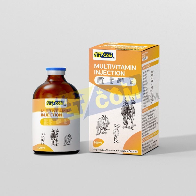Boost Your Health with Multivitamin Injection.
