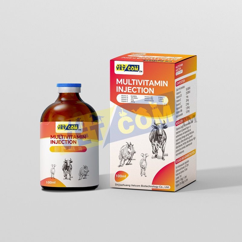Multivitamin Injection for Boosted Health & Vitality.