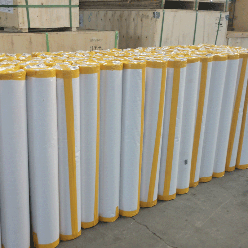 Polypropylene Aluminum Foil Veneer