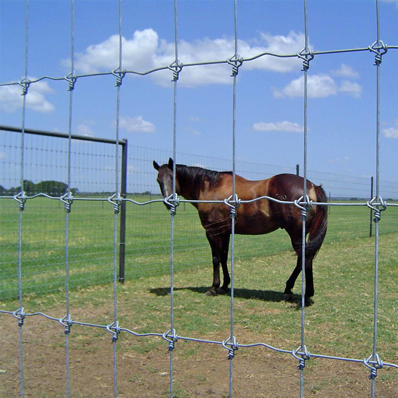 Fixed Knot Field Fence deer fence--class 3 high stability