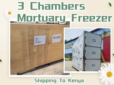 Corpses Refrigerator,Mortuary Refrigerator,Dead Body Refrigerator