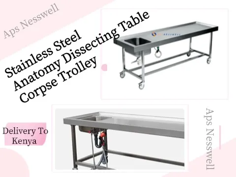 Stainless Steel Anatomy Dissecting Table,Morgue Working Table,Corpse ...