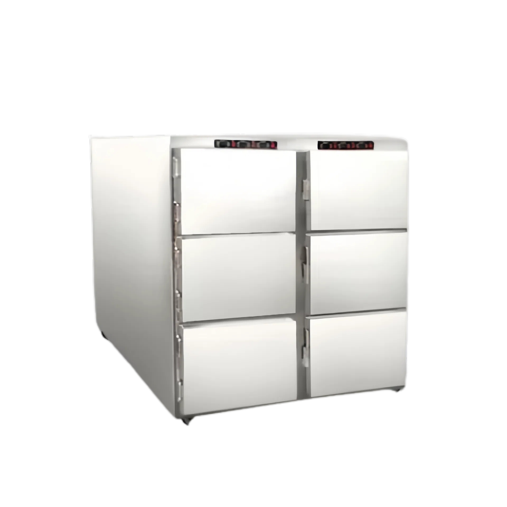 6 Bodies Mortuary Refrigerators,Morgue Freezers,Mortuary Coolers